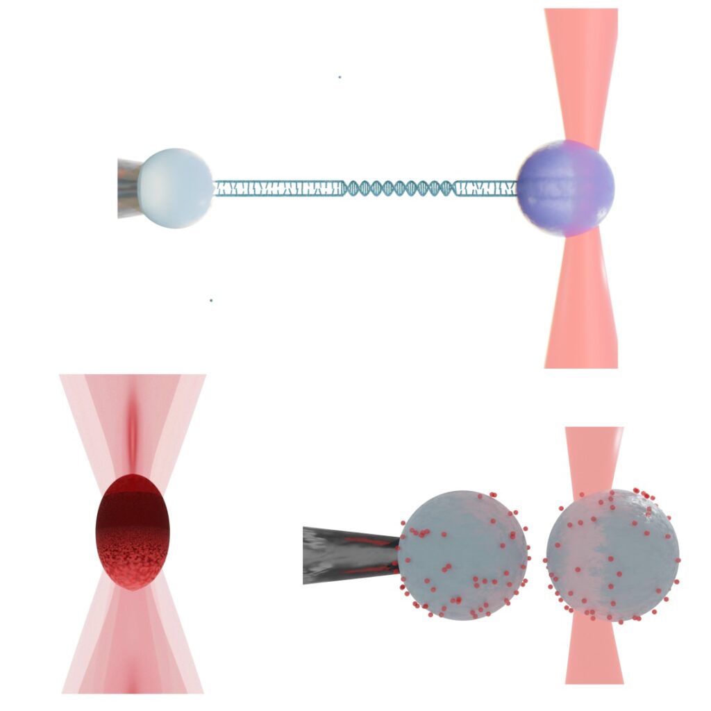 Carlos Bustamante – Soft Matter Lab